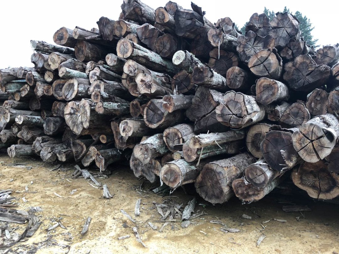 The best firewood in TAURANGA & THE WESTERN BAY