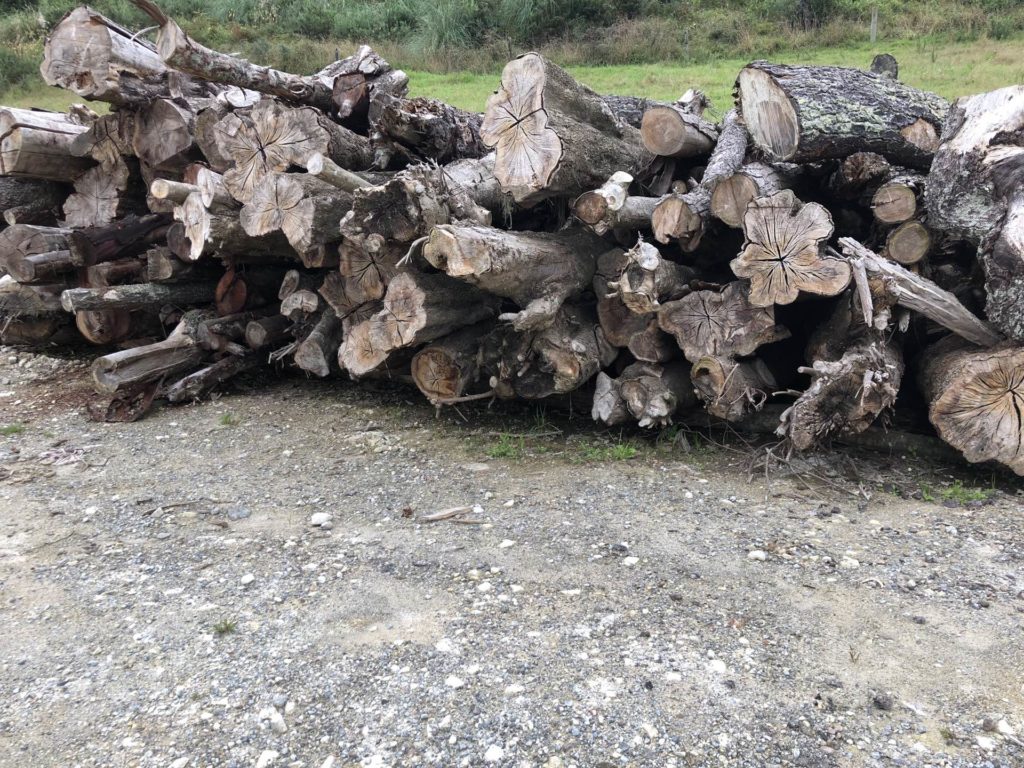 The best firewood in TAURANGA & THE WESTERN BAY